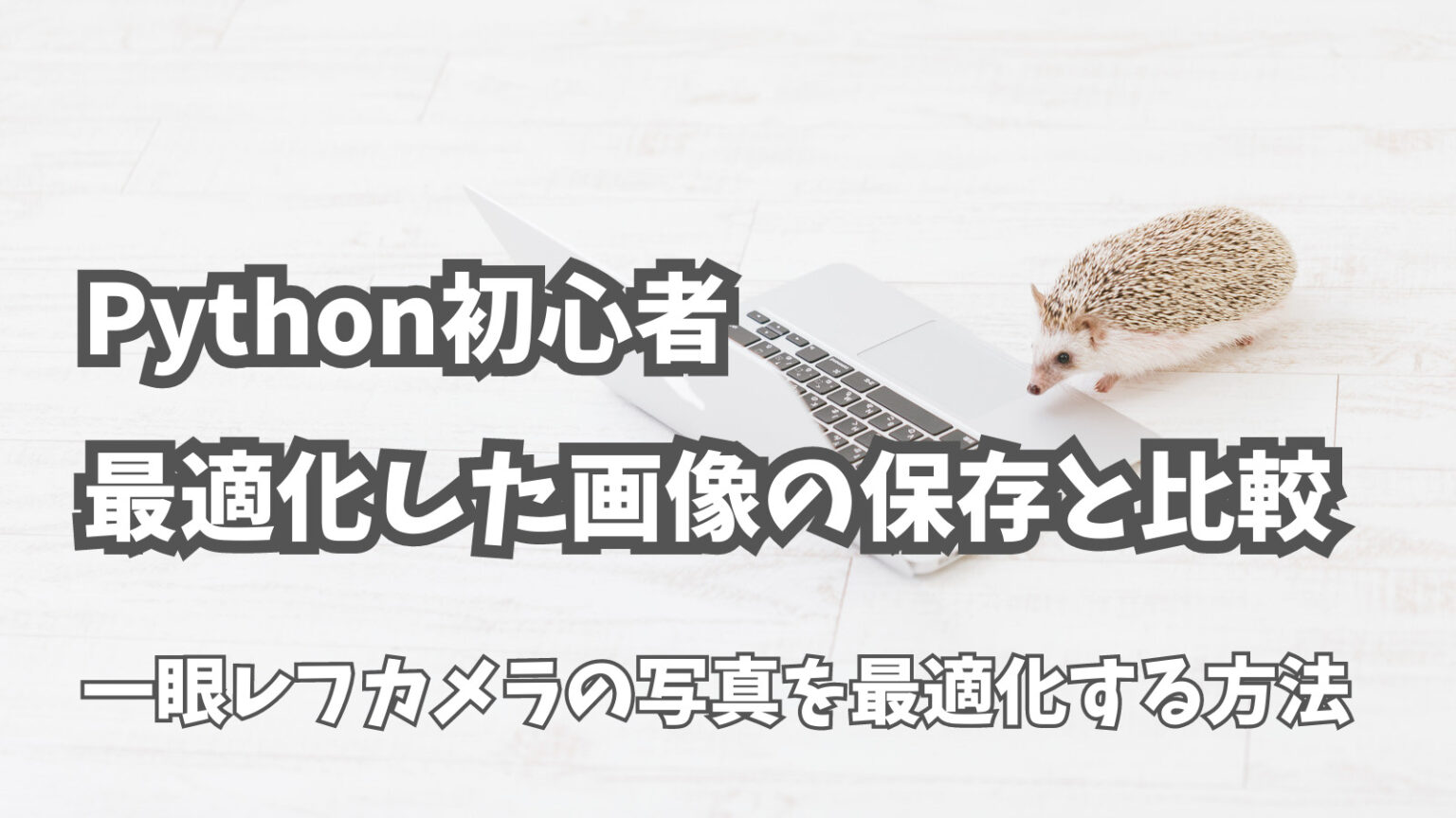 【Python初心者】最適化した画像の保存と比較 | たまこじブログ